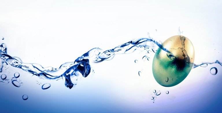 Forme Ovoïde - Vitbot