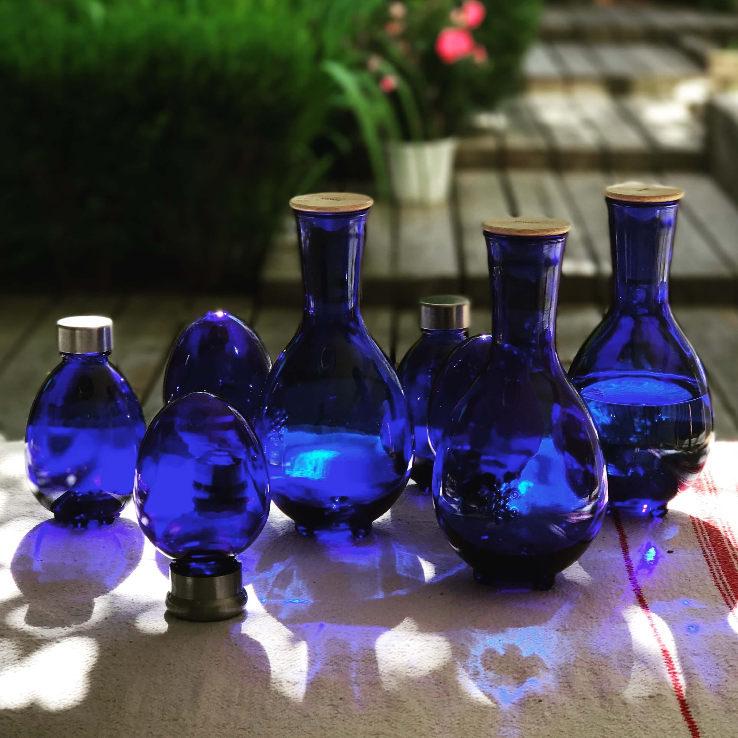 Carafe Fruit of Life - Vitbot