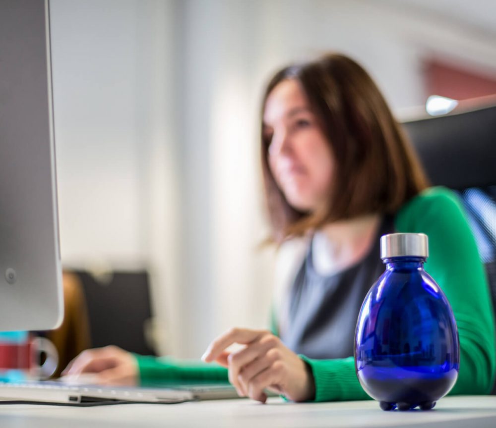 Bottle Egg of Life - Vitbot